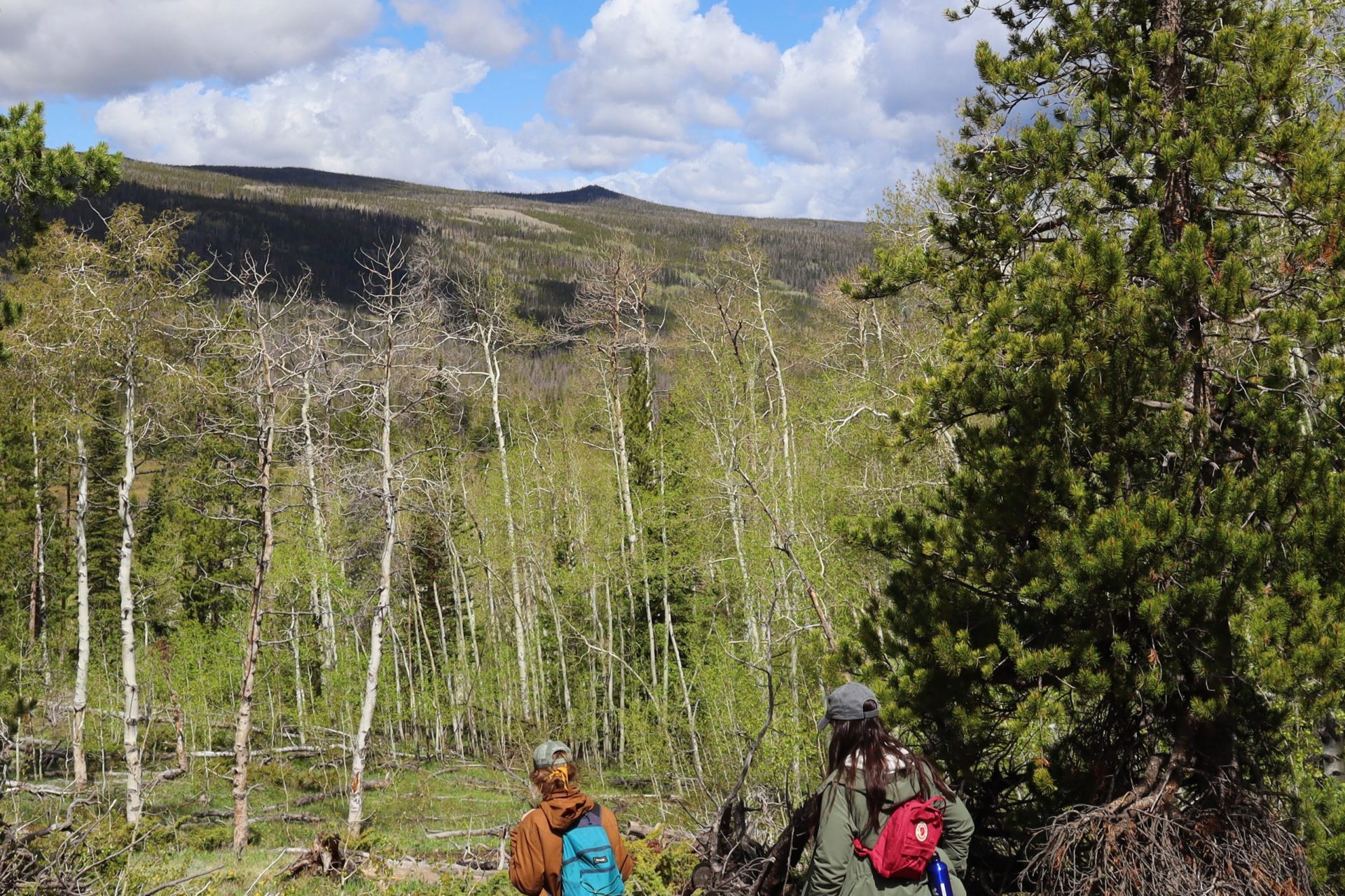 Choose Your Adventure at Our Colorado Mountain Ranch - Rawah Ranch ...